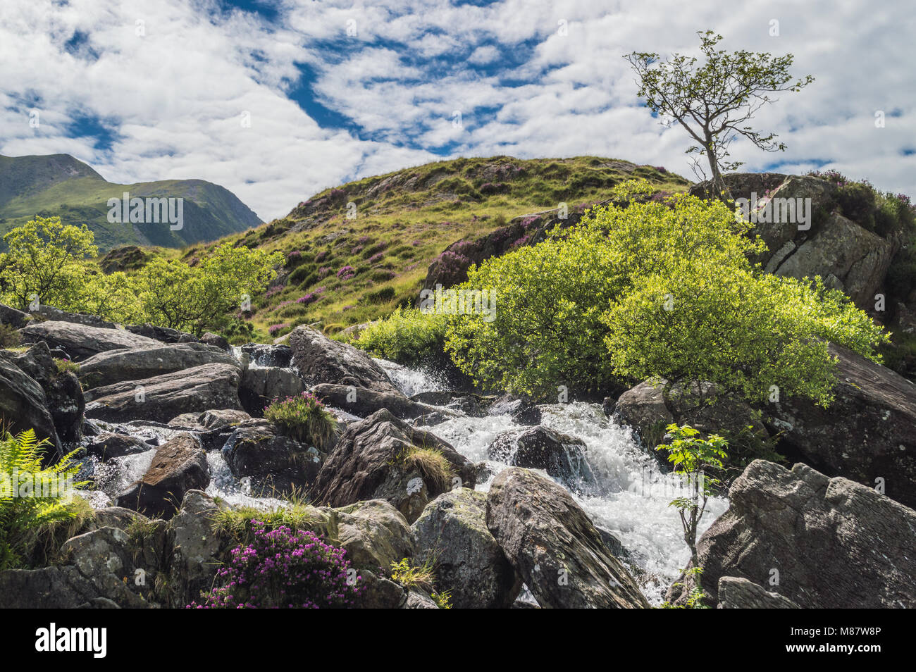 Idwal slabs hi-res stock photography and images - Alamy