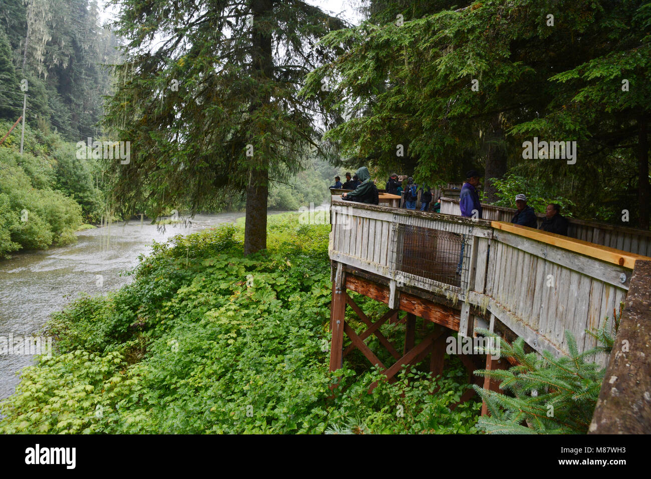 Tourists on the bear viewing platform at the Fish Creek Wildlife ...