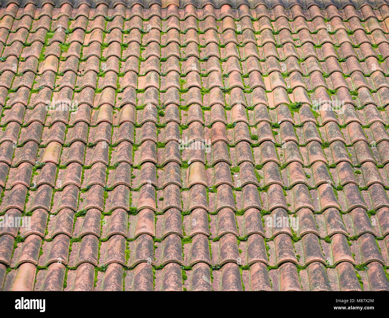 Real ancient mossy tiled roof background Stock Photo - Alamy