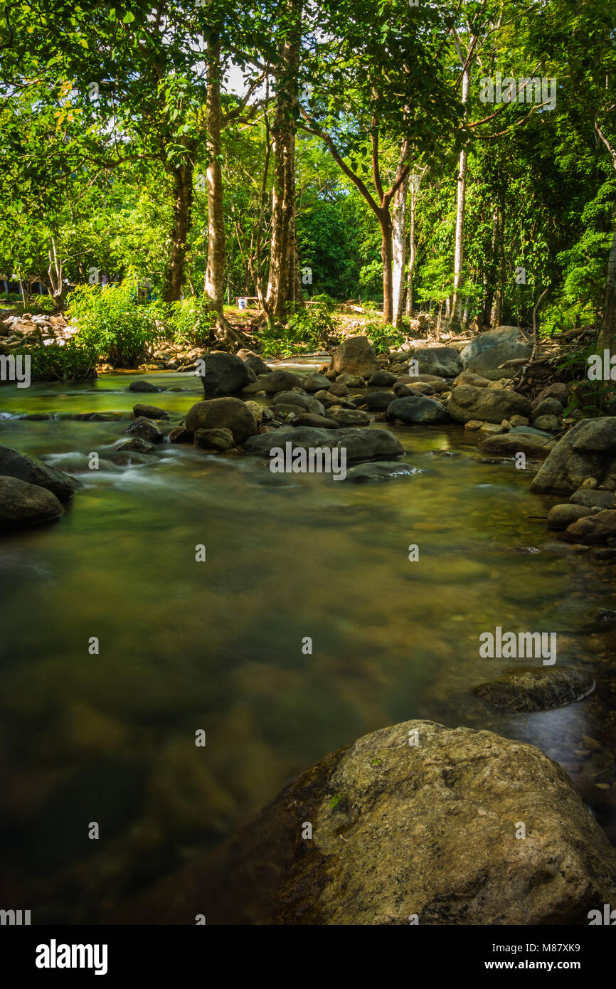Streams in the forest Stock Photo - Alamy
