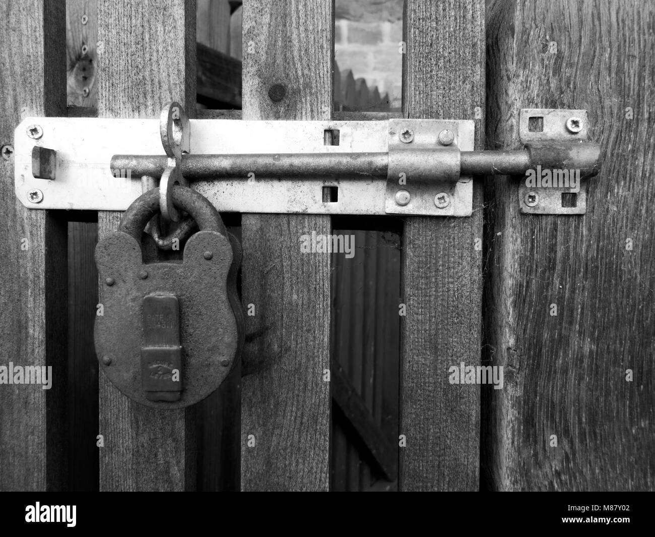 Rusty padlock clasp and staple securing timber gate to side of ...