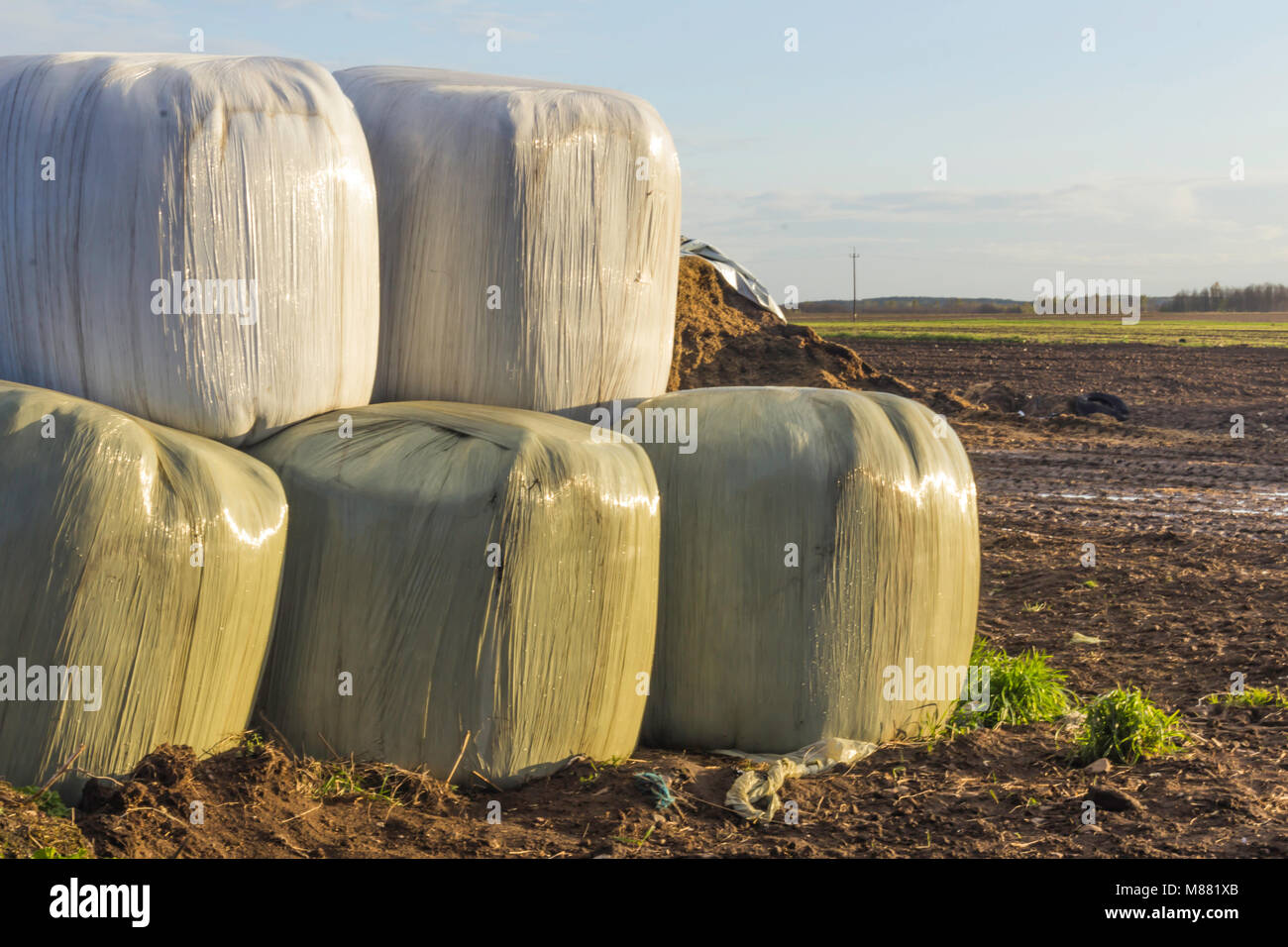 Stacked like a pyramid, round bales of hay and silage wrapped in a ...