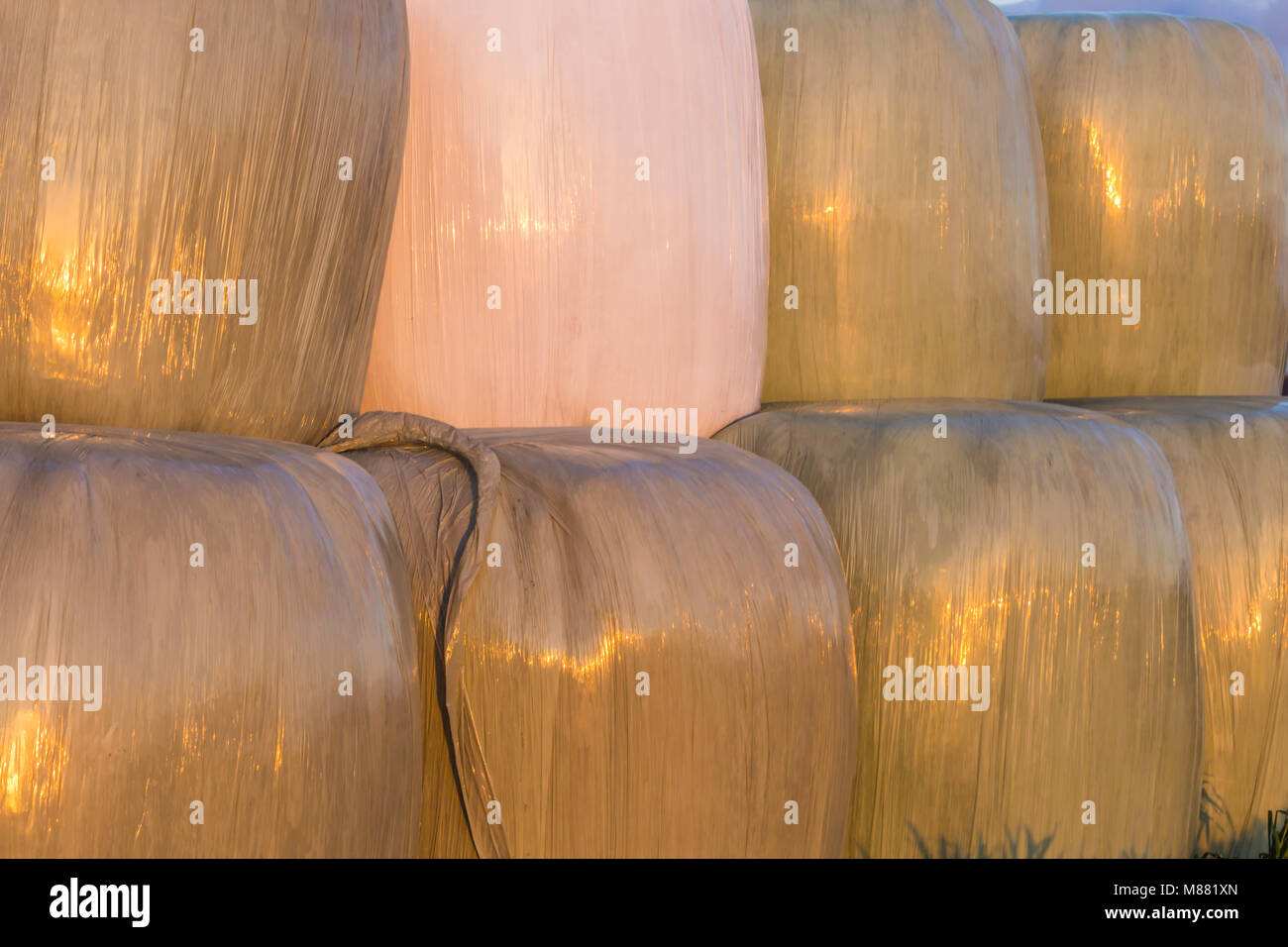 Stacked like a pyramid,round bales of hay and silage wrapped in a white ...