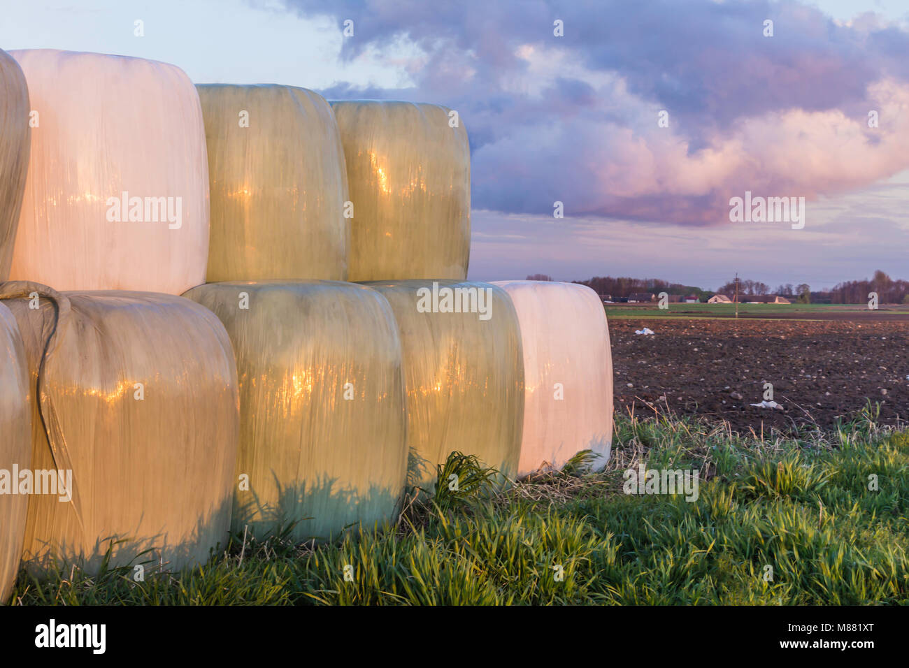 Stacked like a pyramid, round bales of hay and silage wrapped in a ...