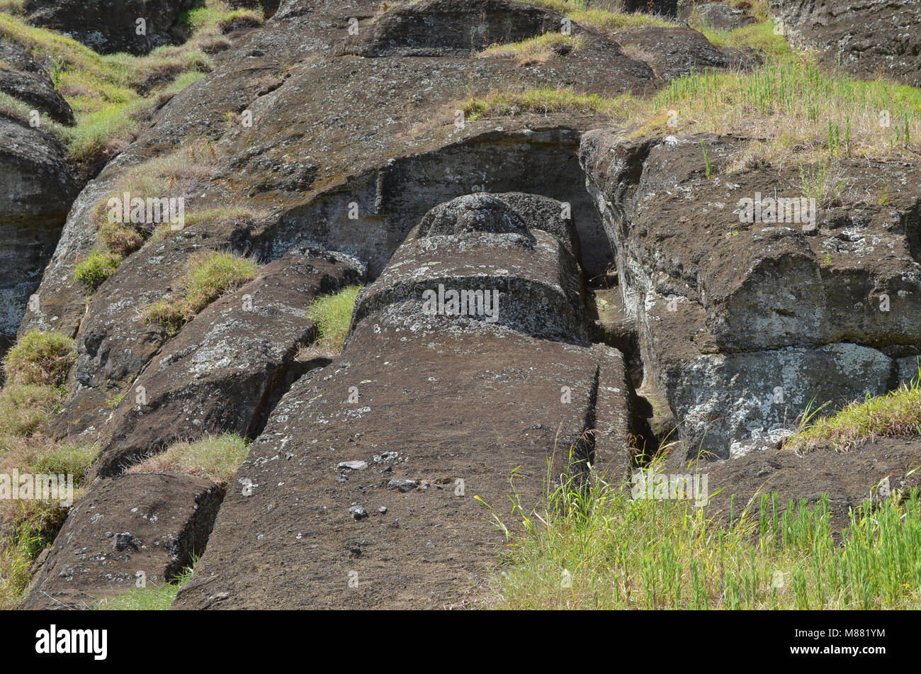 Te tokanga hi-res stock photography and images - Alamy