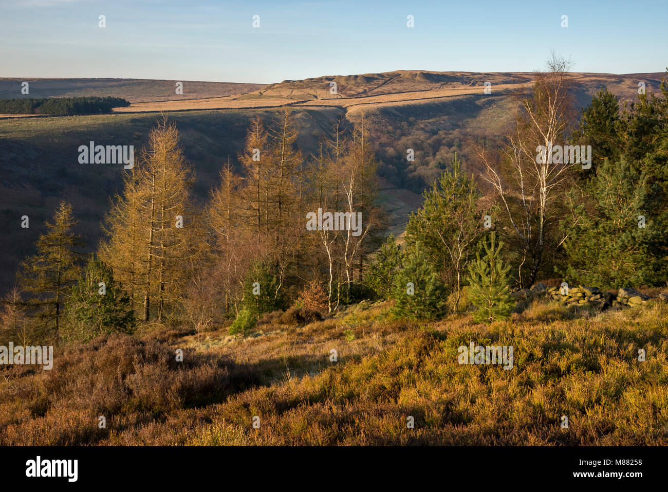 Beautiful spring evening in the hills of Northern England. Moorland ...