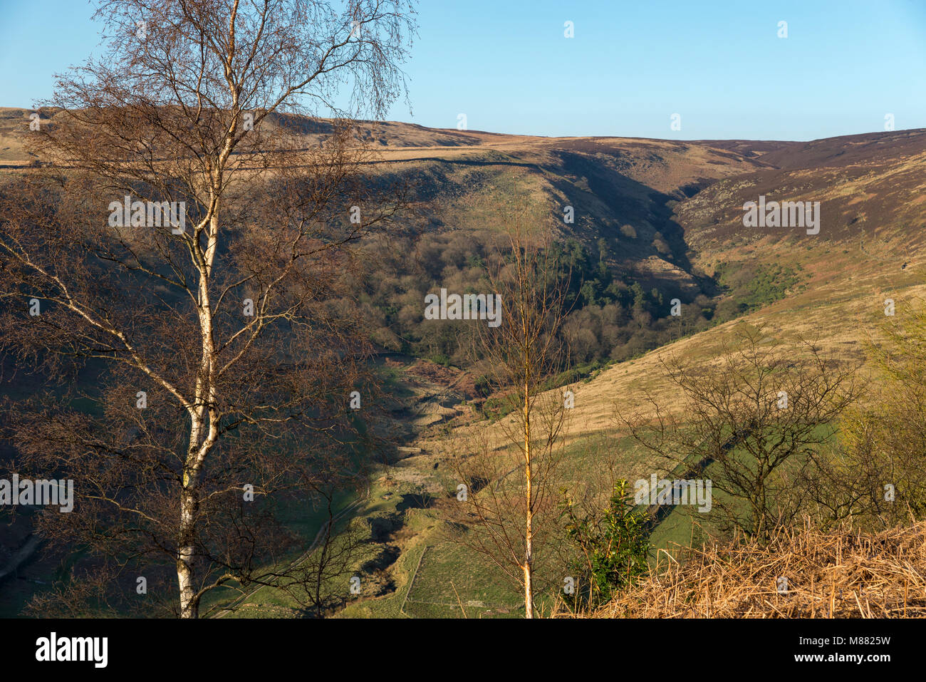 Beautiful spring evening in the hills of Northern England. Moorland ...