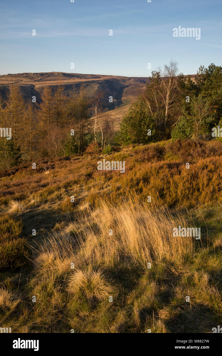 English countryside in march hi-res stock photography and images - Alamy