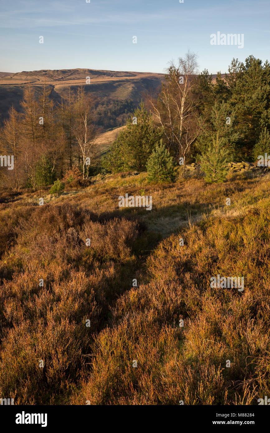 Spring evening walk hi-res stock photography and images - Alamy