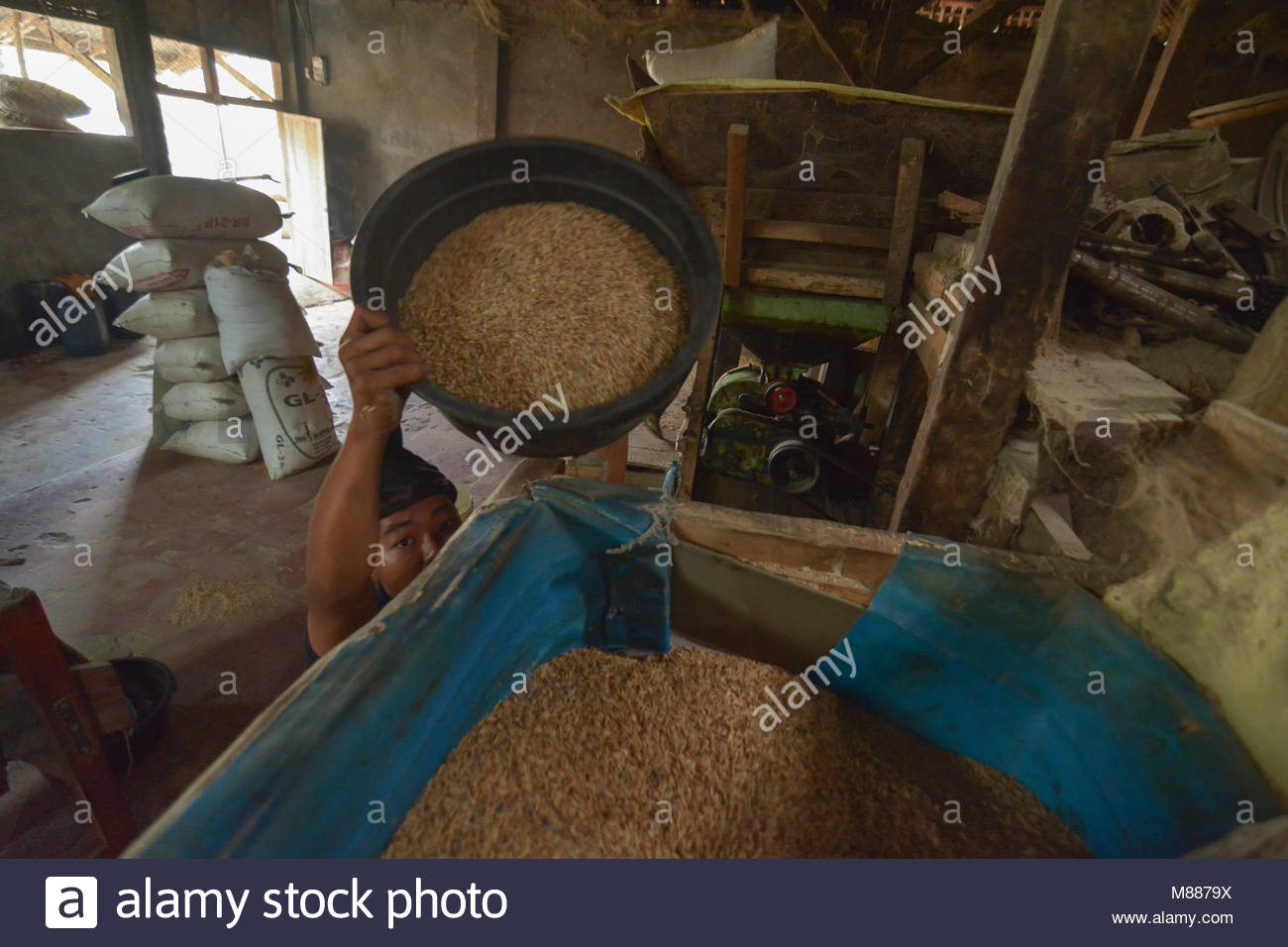 Rice Mill Worker Stock Photos & Rice Mill Worker Stock Images - Alamy