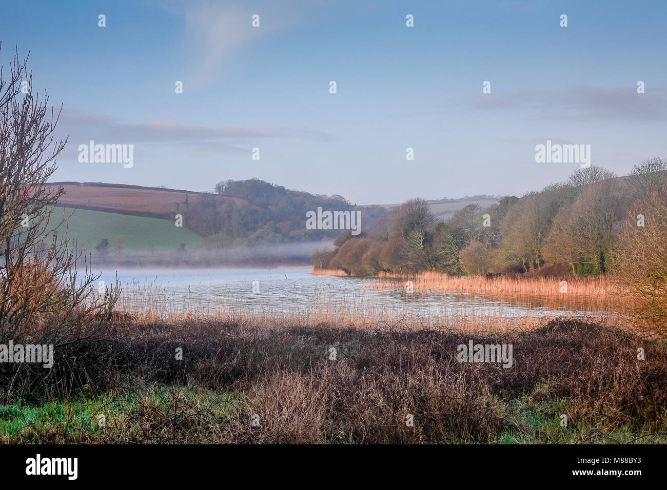 Slapton sands beach bar hi-res stock photography and images - Alamy