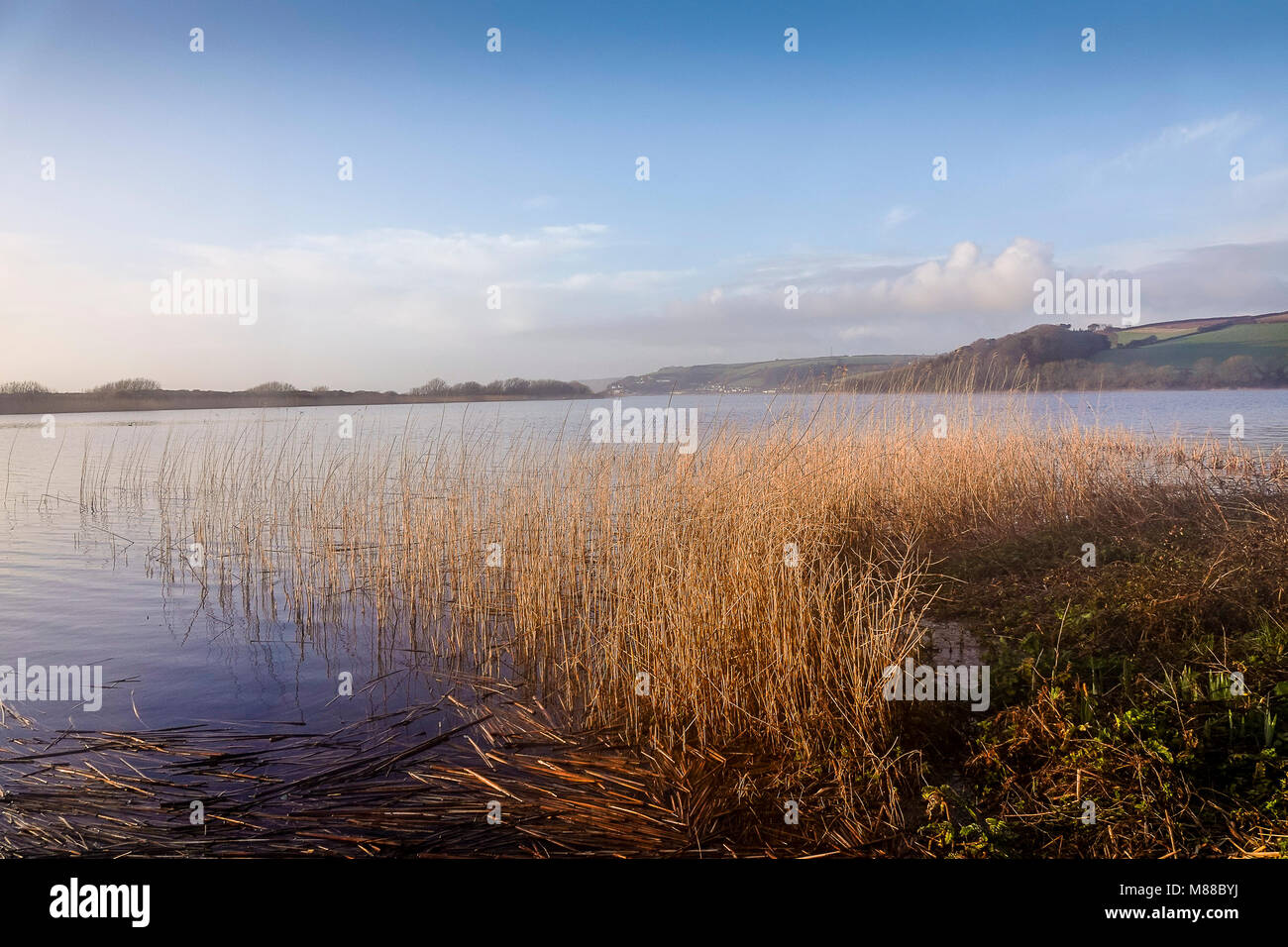 Slapton sands beach bar hi-res stock photography and images - Alamy