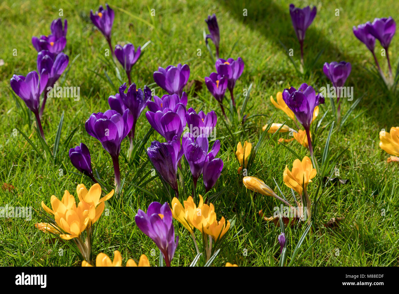 Weather mild hi-res stock photography and images - Alamy
