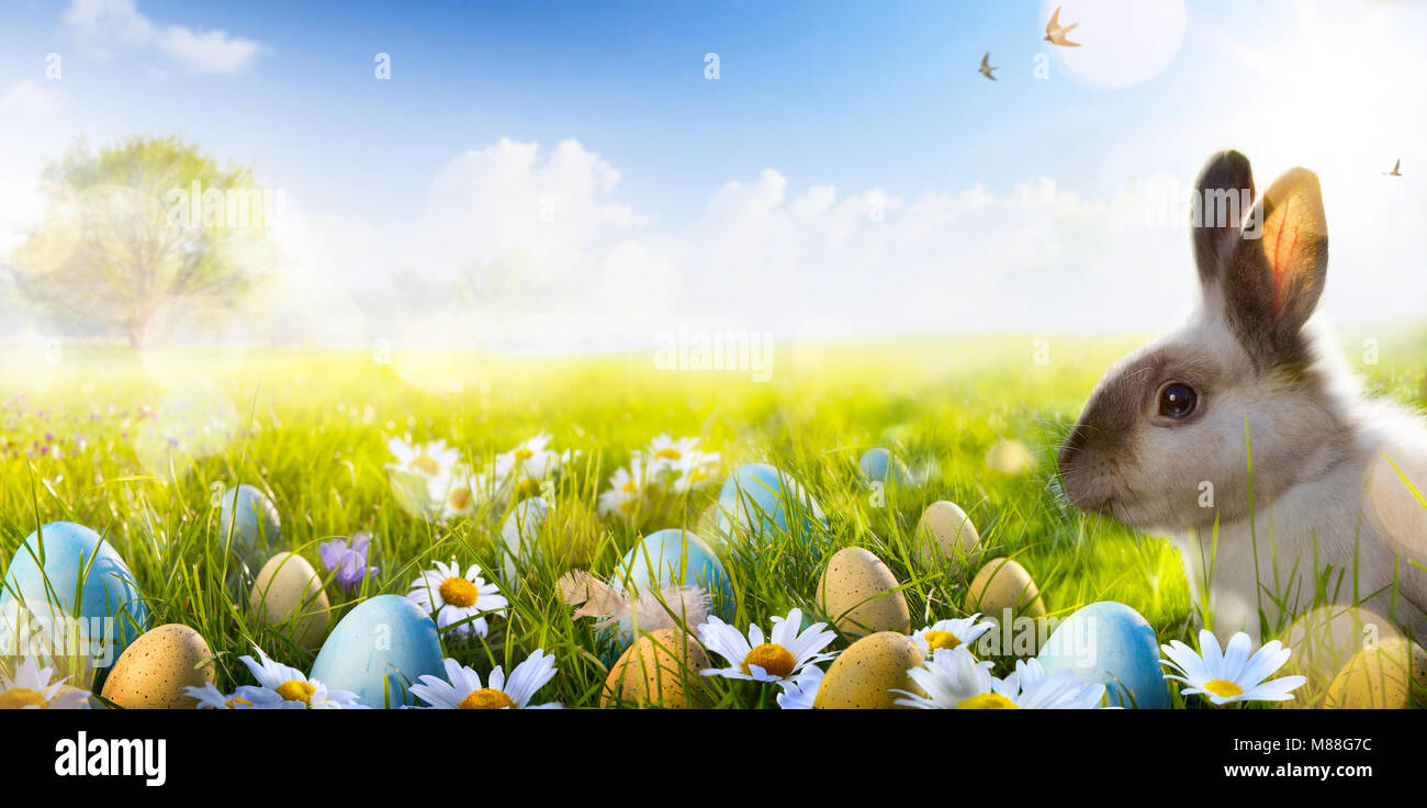 Easter bunny, Easter eggs and spring flower Stock Photo - Alamy