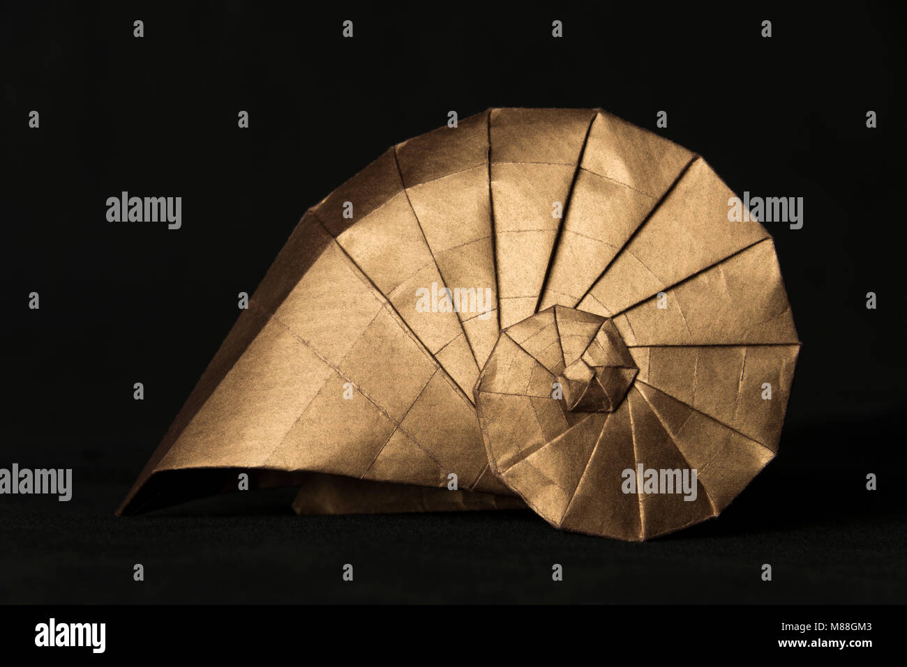 Origami paper seashell studio macro close up Stock Photo - Alamy
