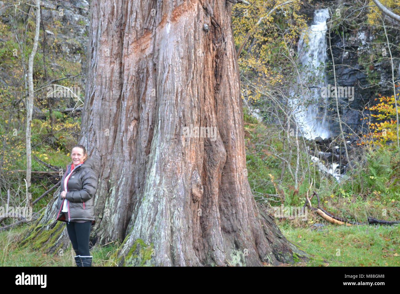 "ullapool" "Scottish highlands" "Scotland" "trees" "big reds" "braemore ...