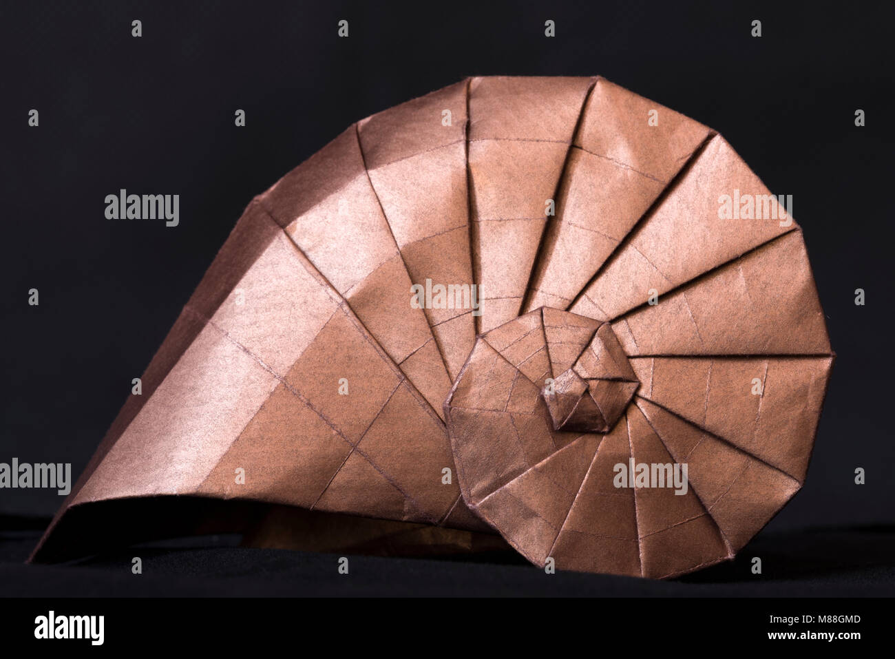 Origami paper seashell studio macro close up Stock Photo - Alamy