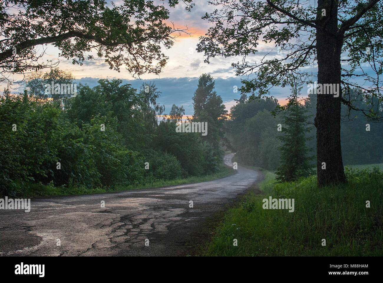 Nature after rain Stock Photo - Alamy