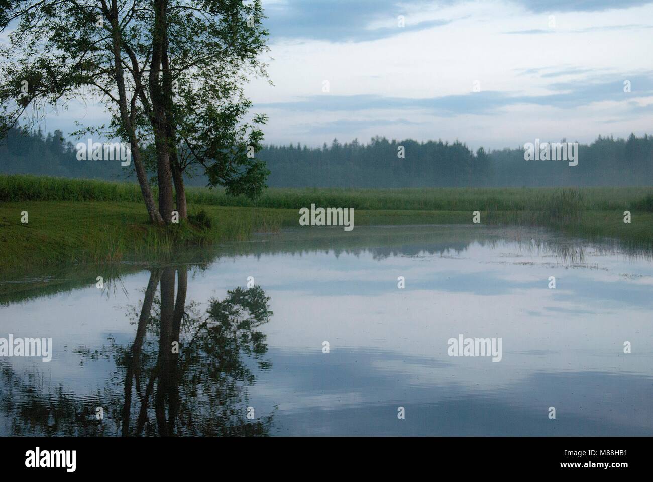 Nature after rain Stock Photo - Alamy