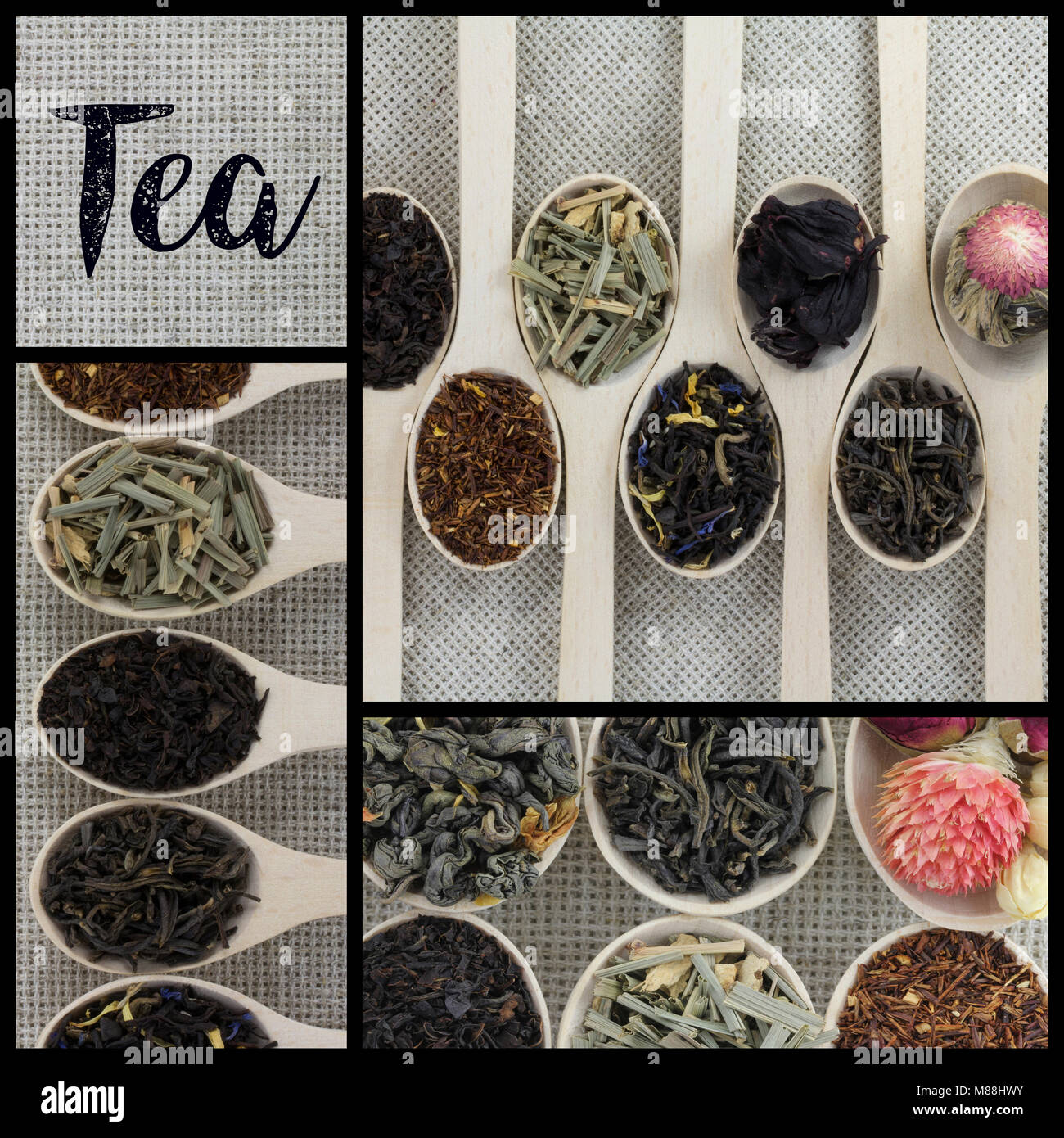 Collage of different varieties and types of tea in assortment. Square ...