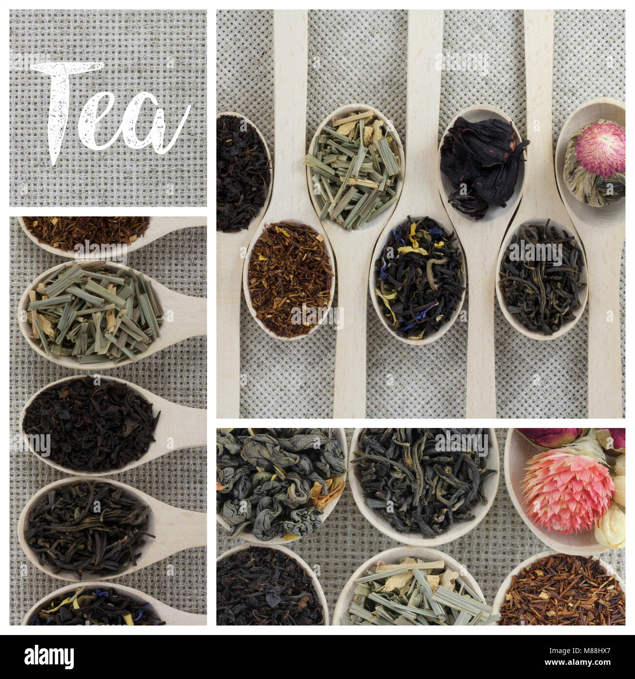 Collage of different varieties and types of tea in assortment. Square ...
