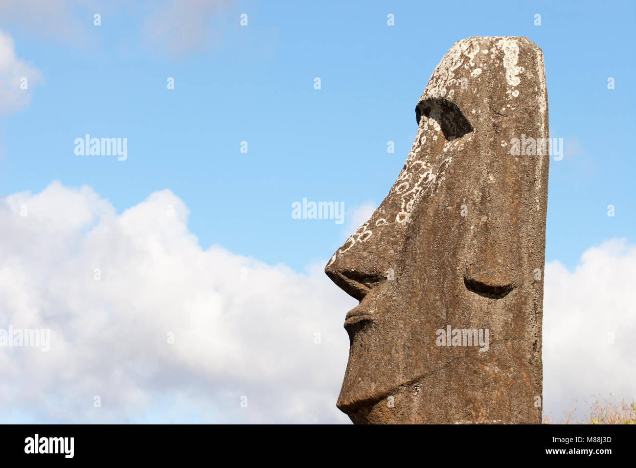 Moai head side view of one statue in Rano Raraku moai quarry on Easter ...