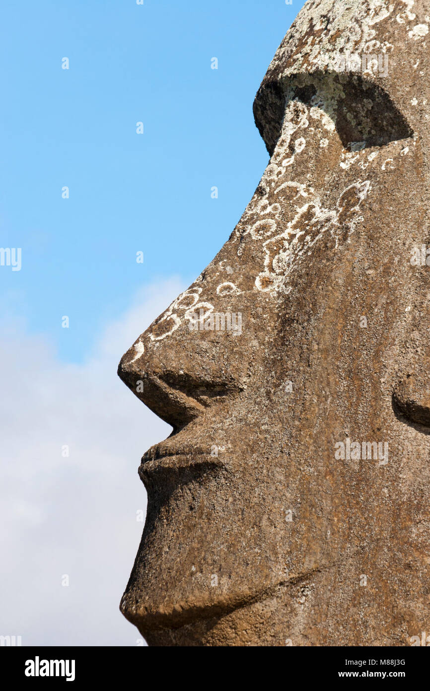 Stone moai in Rano Raraku moai quarry on Easter Island, Chile Stock ...