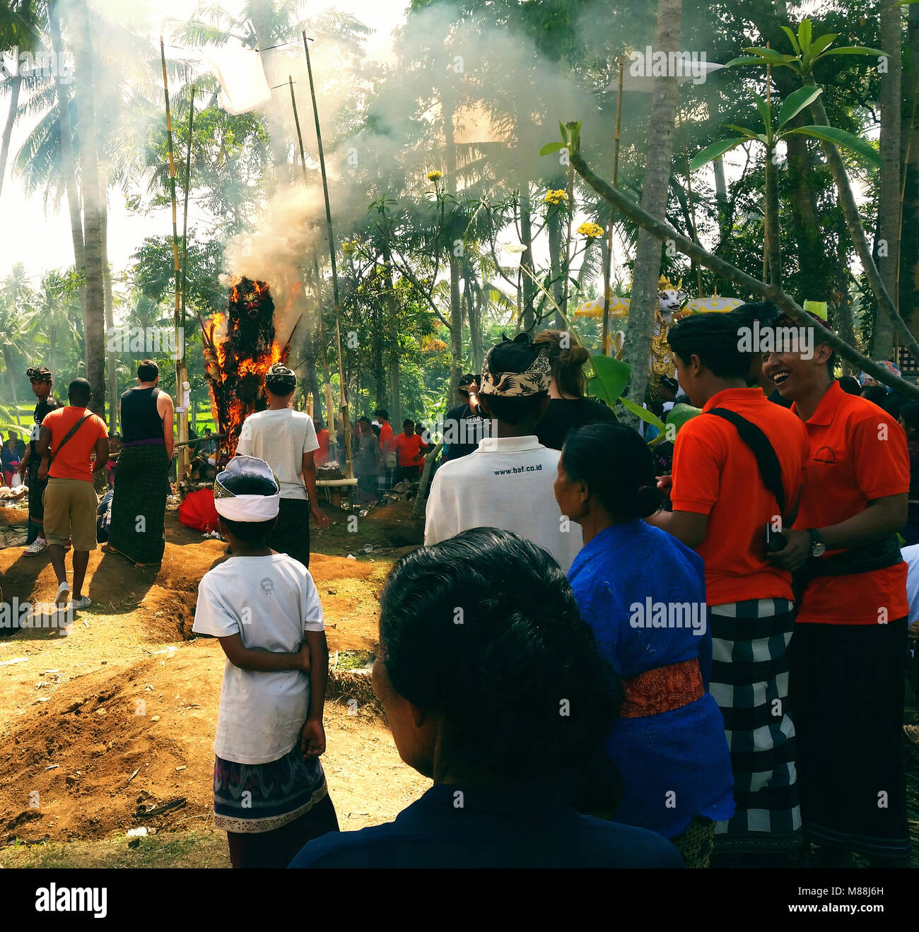 Bali funeral bull sarcophagus hi-res stock photography and images - Alamy