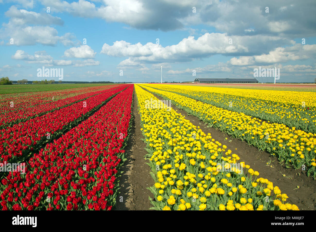 Floriade netherlands hi-res stock photography and images - Alamy