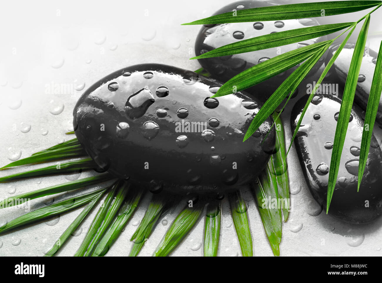 Grey spa background, moisturizing concept, palm leaves and black wet ...
