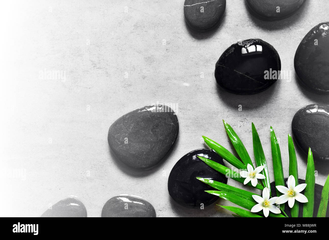 Grey spa background, moisturizing concept, palm leaves and black wet ...