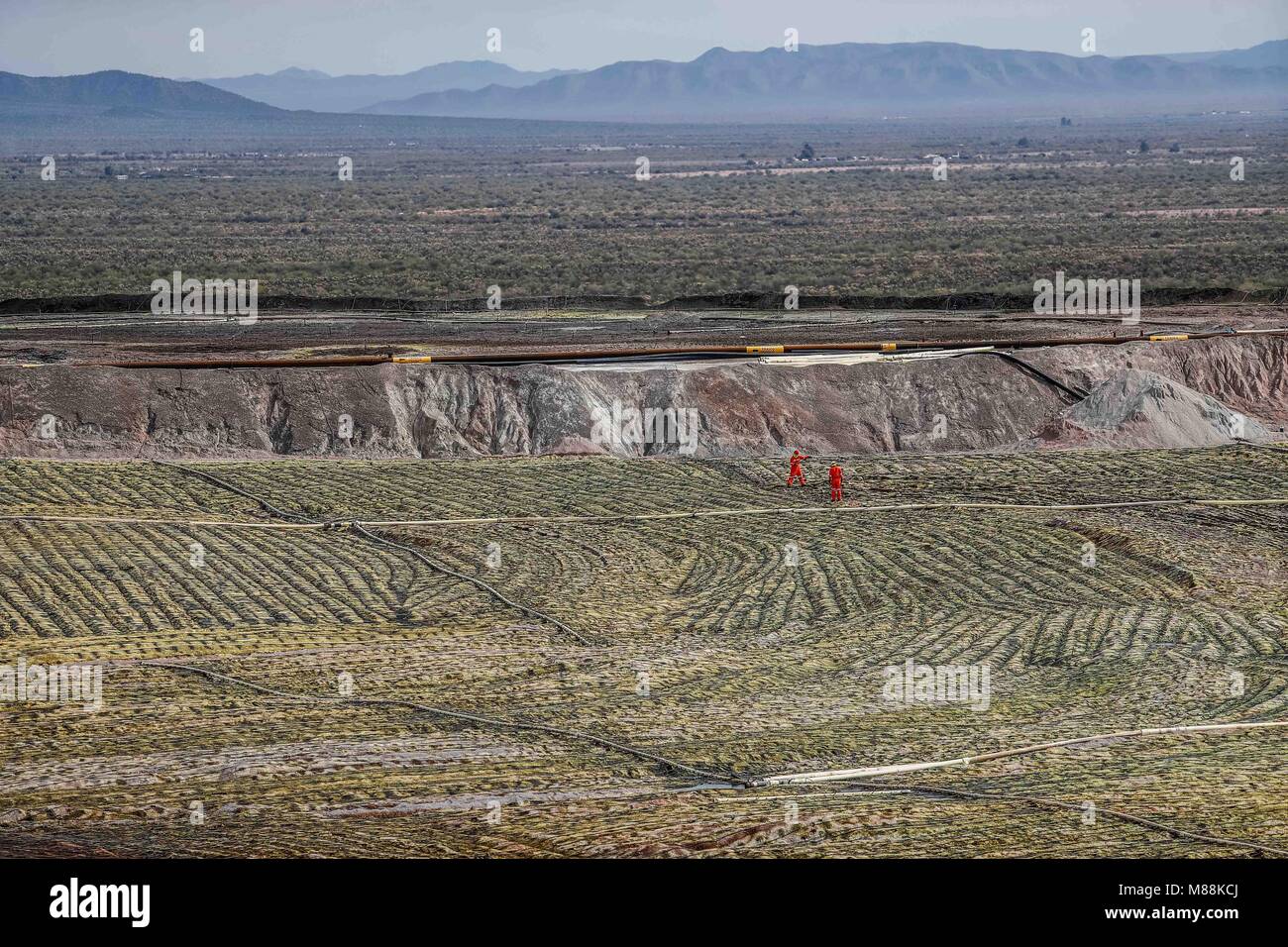 Solvent extraction hi-res stock photography and images - Alamy