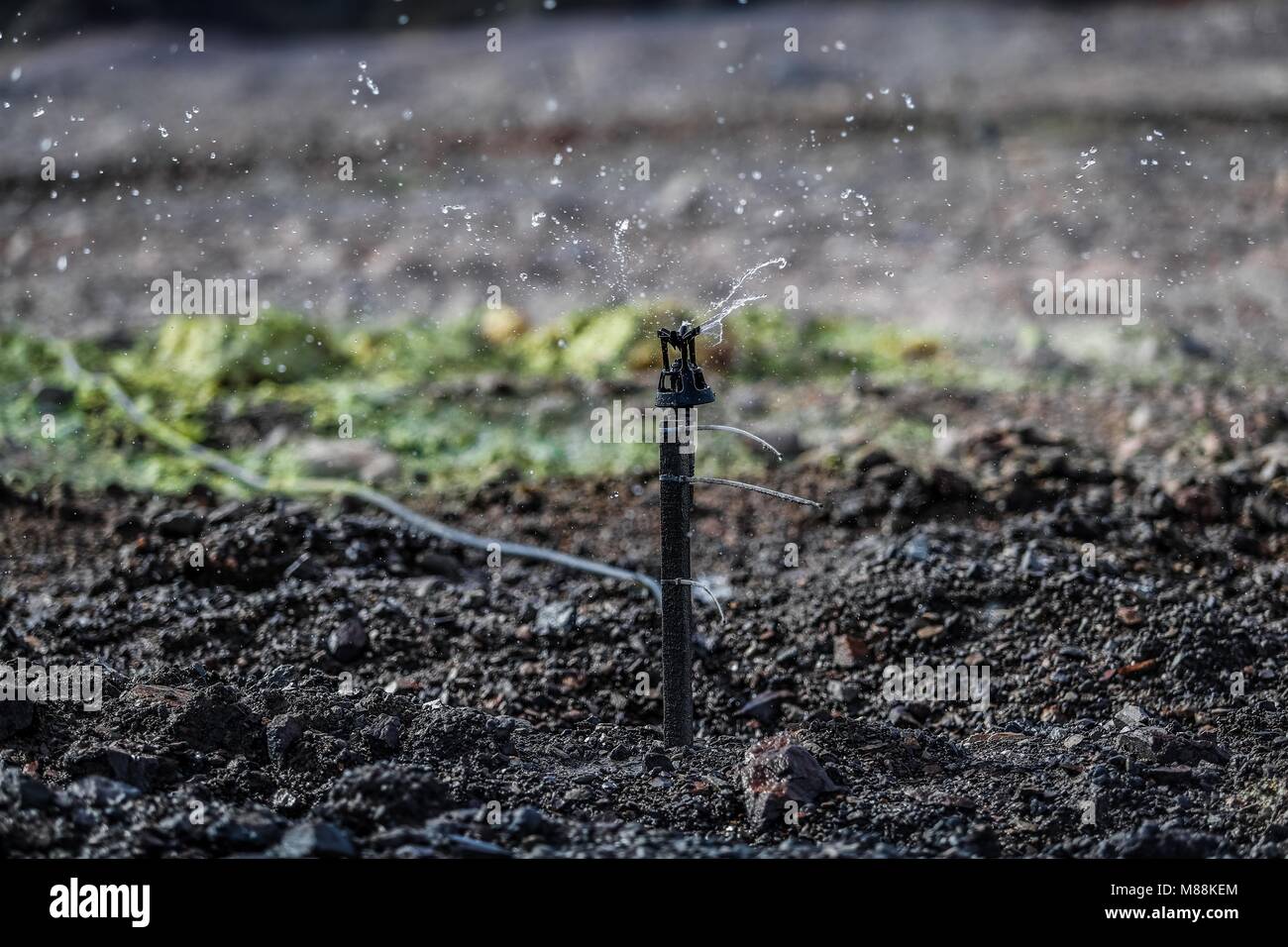 Solvent based extraction hi-res stock photography and images - Alamy