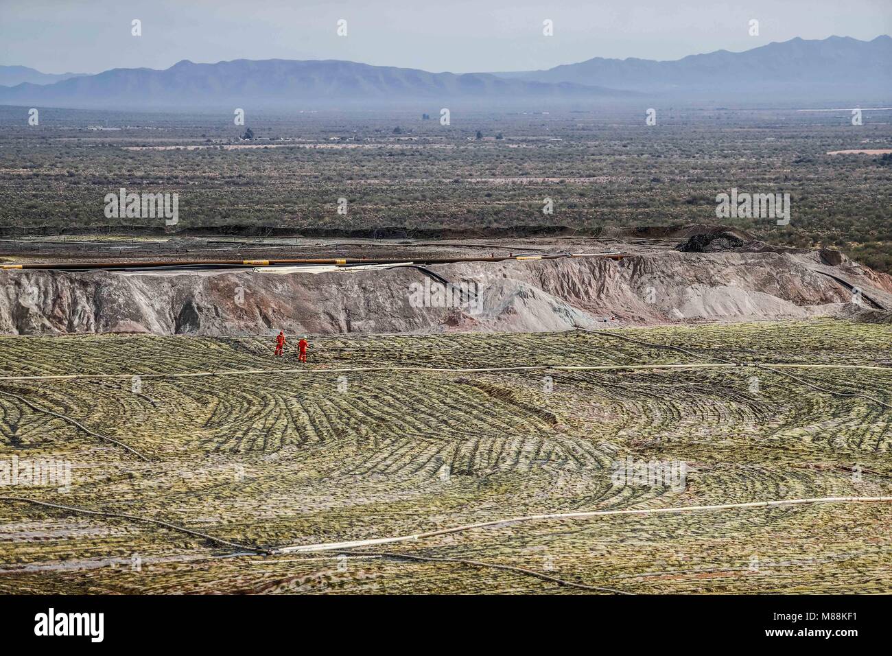 Solvent based extraction hi-res stock photography and images - Alamy