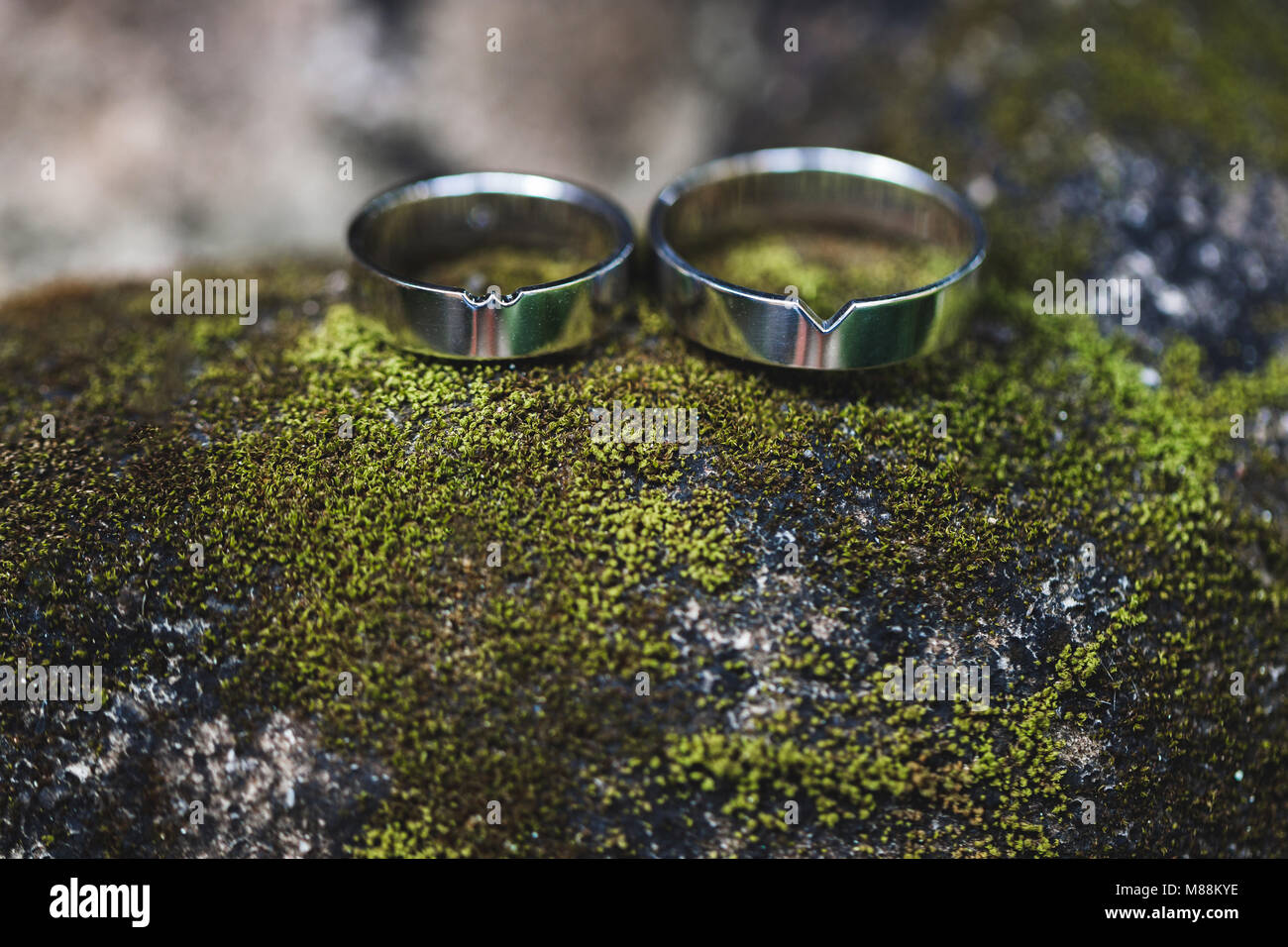 Wedding rings on moss hi-res stock photography and images - Alamy