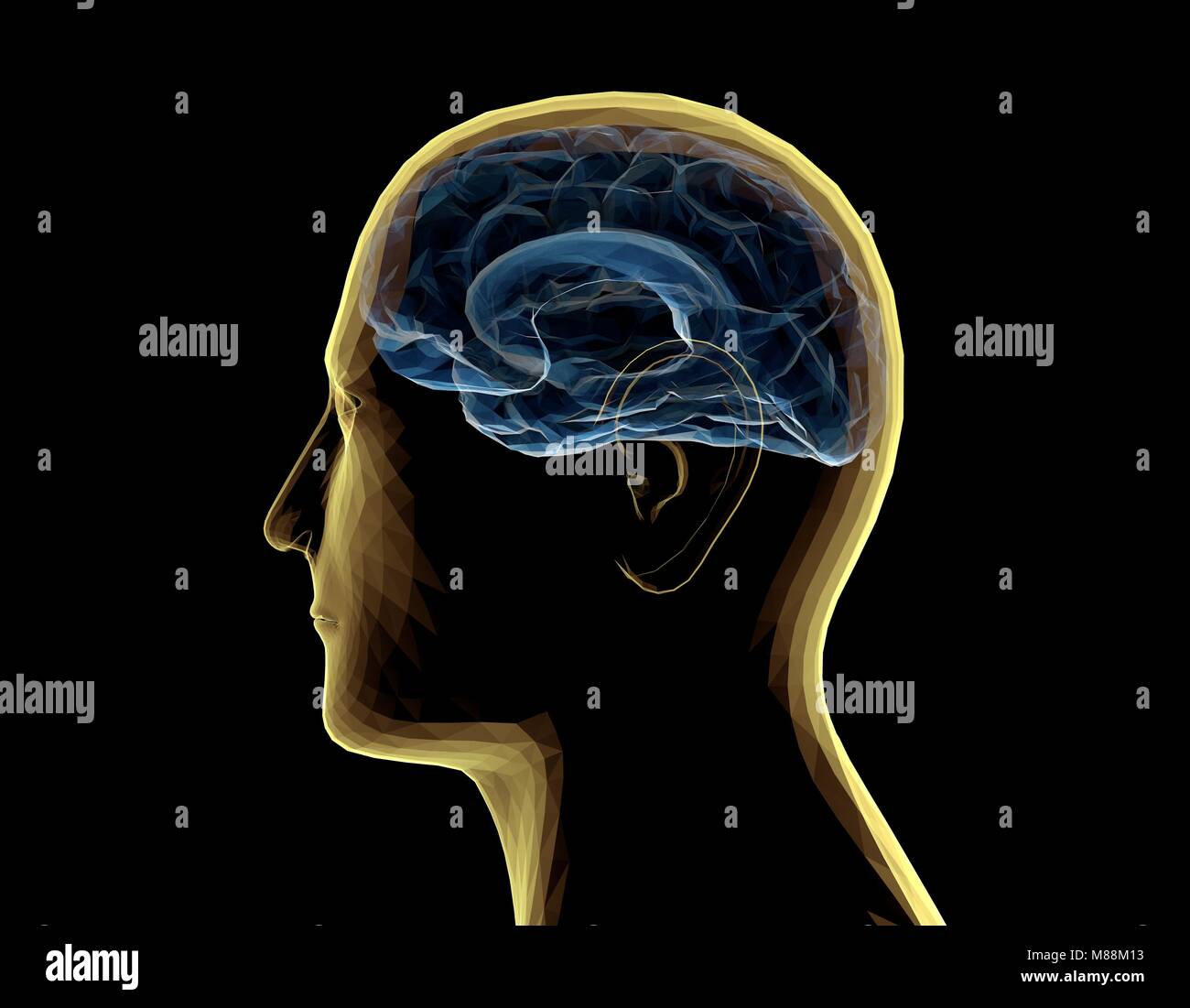 Future human technology, human brain, advance thinking concept Stock ...