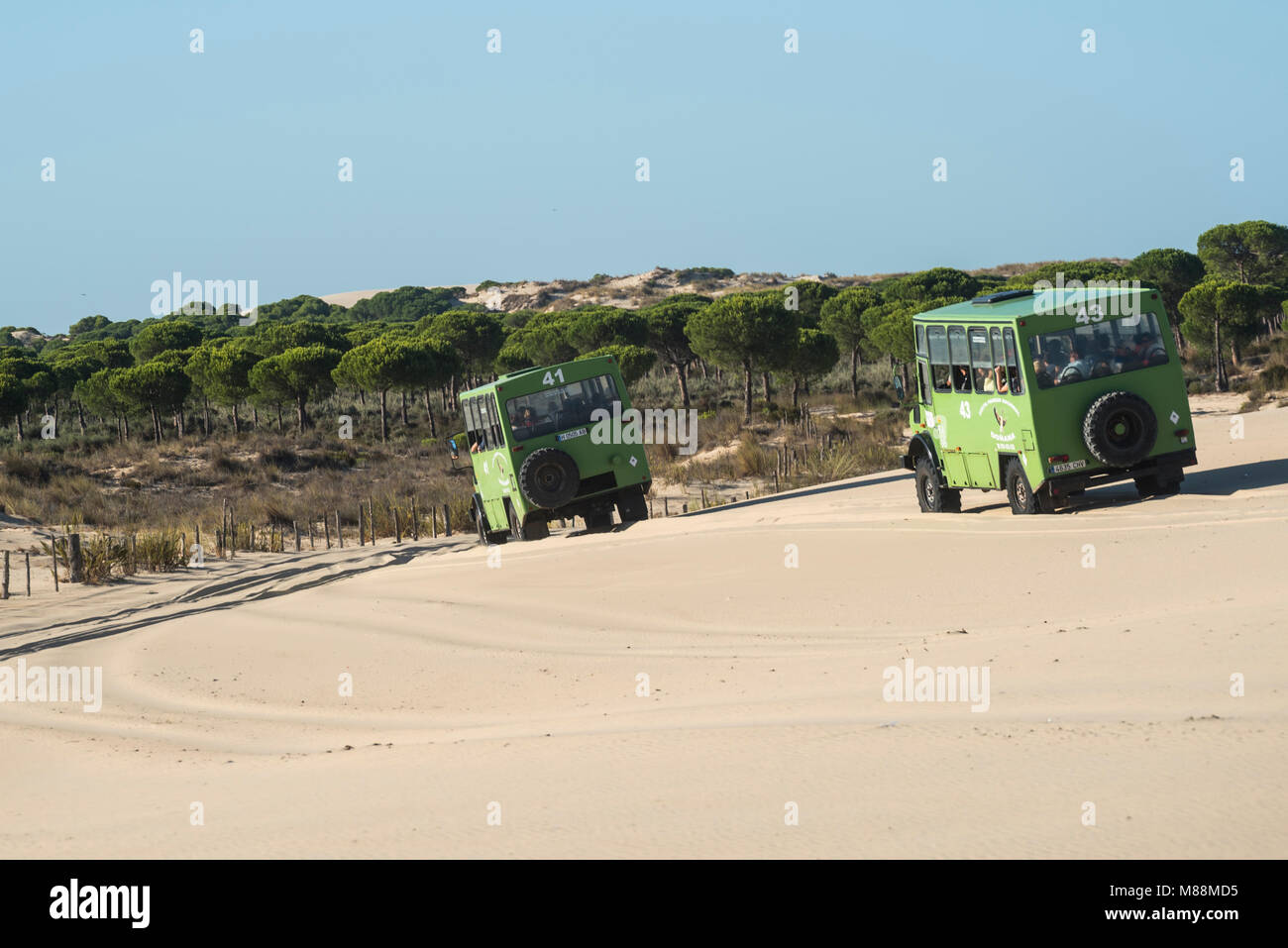 bus on sand dunes Stock Photo - Alamy