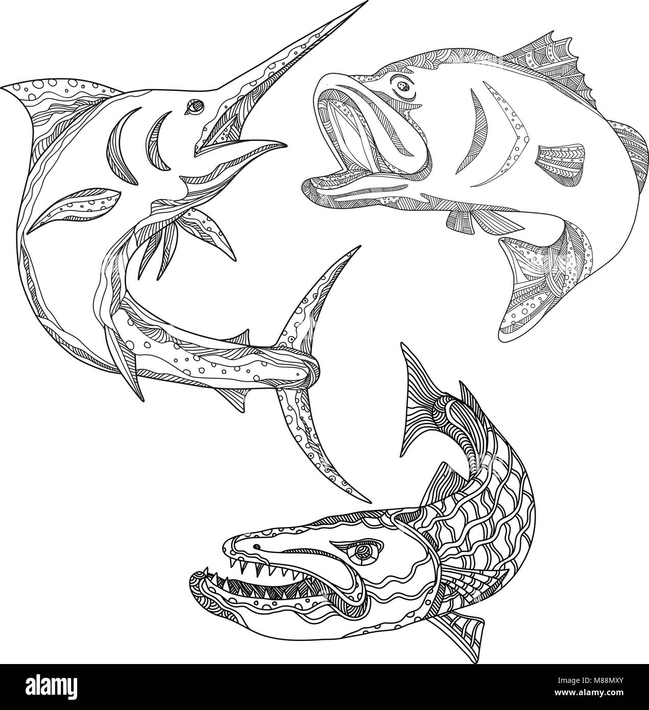 Drawing barramundi hi-res stock photography and images - Alamy