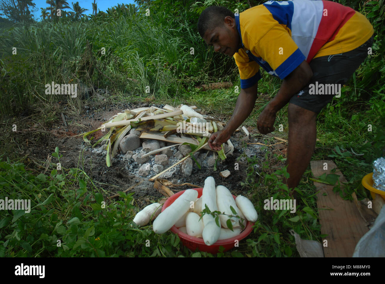 Preparation for Lovo, a traditional meal cooked in the ground, Rakiraki ...