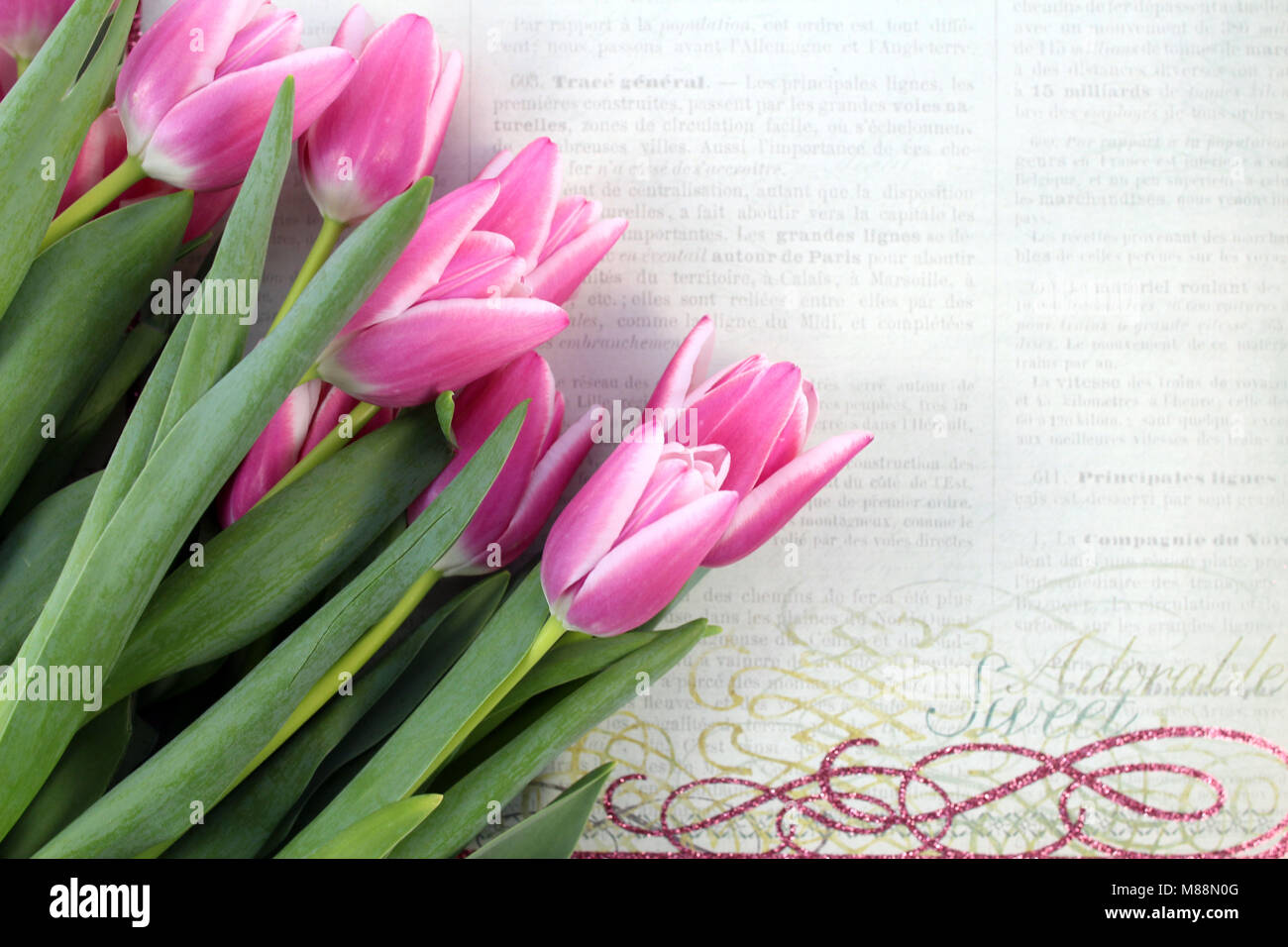 Pink tulips on vintage background: paper, newspaper. Spring flowers. A ...