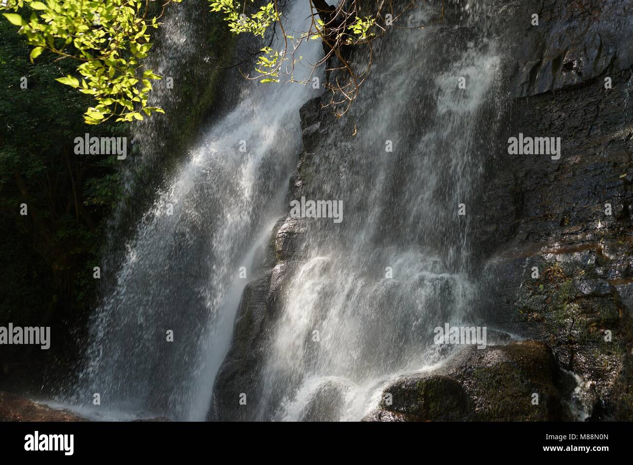 Waterfall over the dark rock in the forest Stock Photo - Alamy