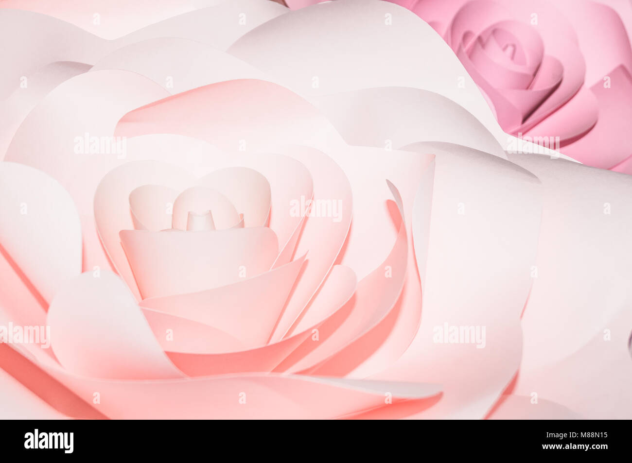 Roses from paper pink color close-up for a template or mock-up layout ...