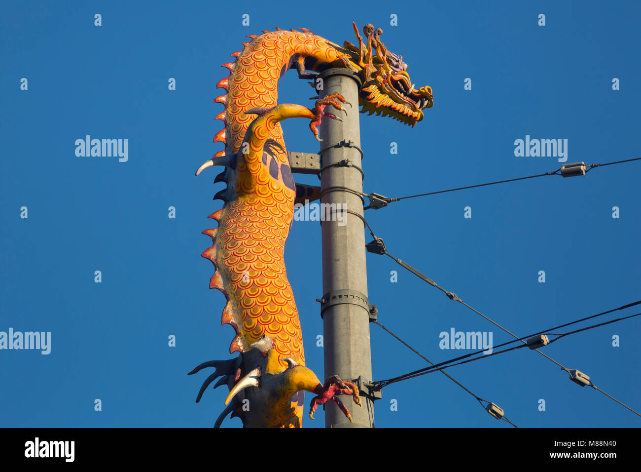 Seattle dragons hi-res stock photography and images - Alamy