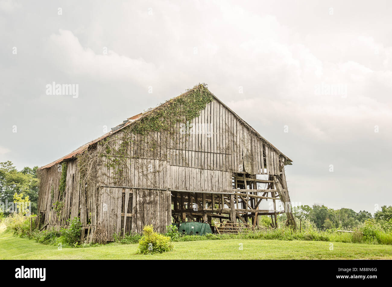 Old barn needs a lot of help from the roof to the barn walls. Even the ...