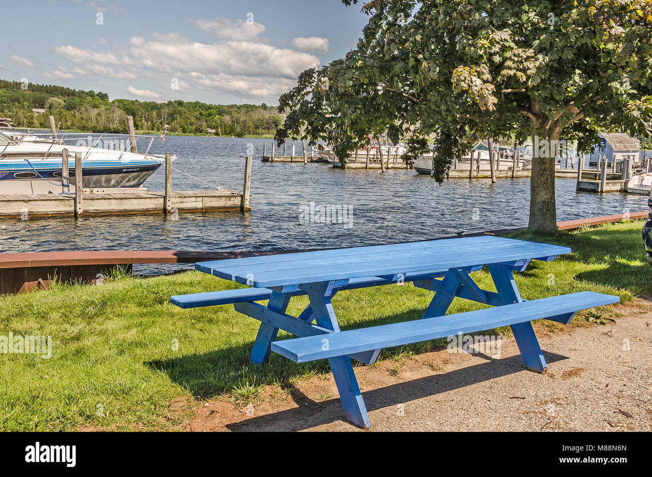 Bright, blue picnic table contrasts nicely with the bright, green grass ...