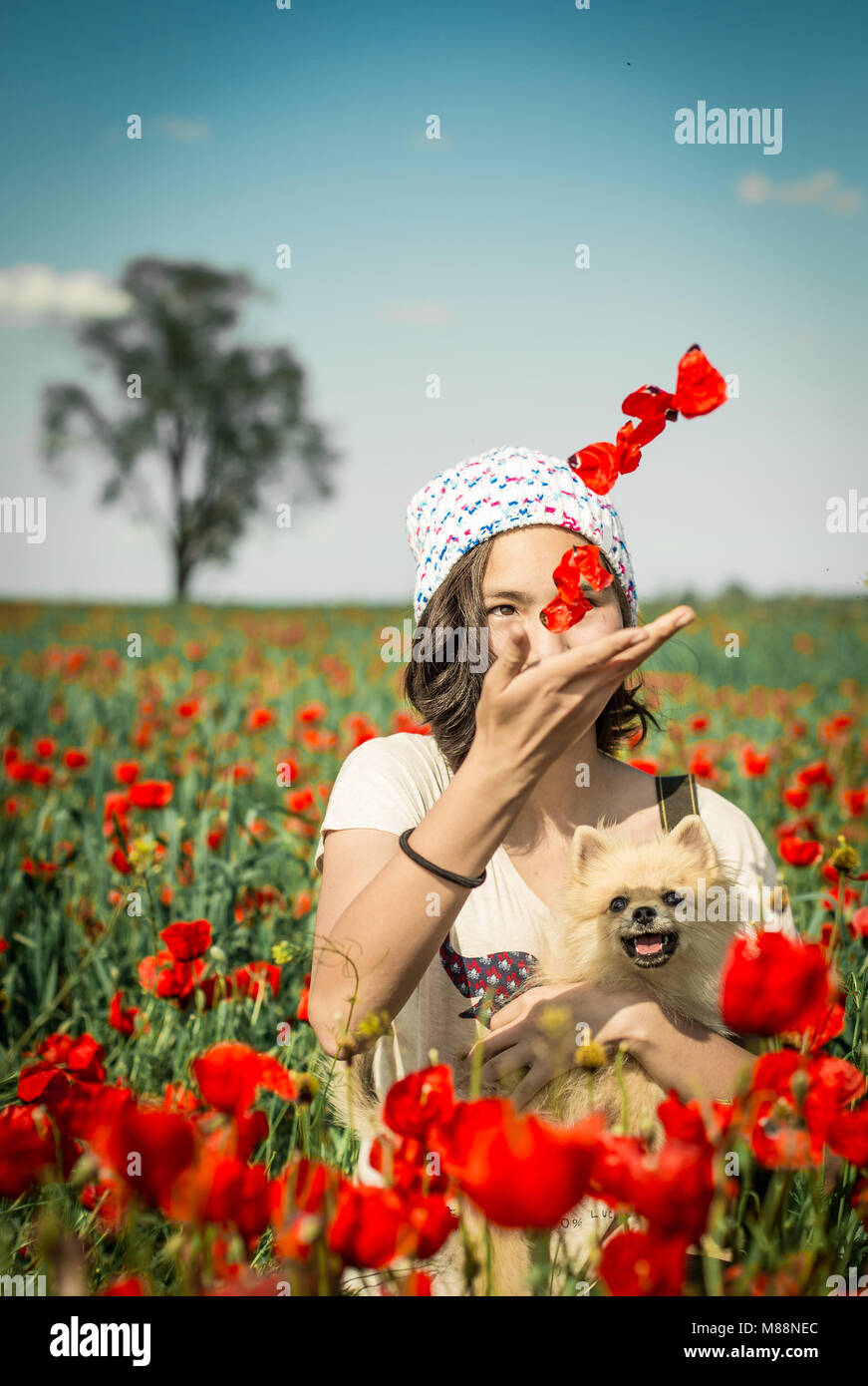 Happy young girl embraces her fluffy Pomeranian puppy in poppy field ...