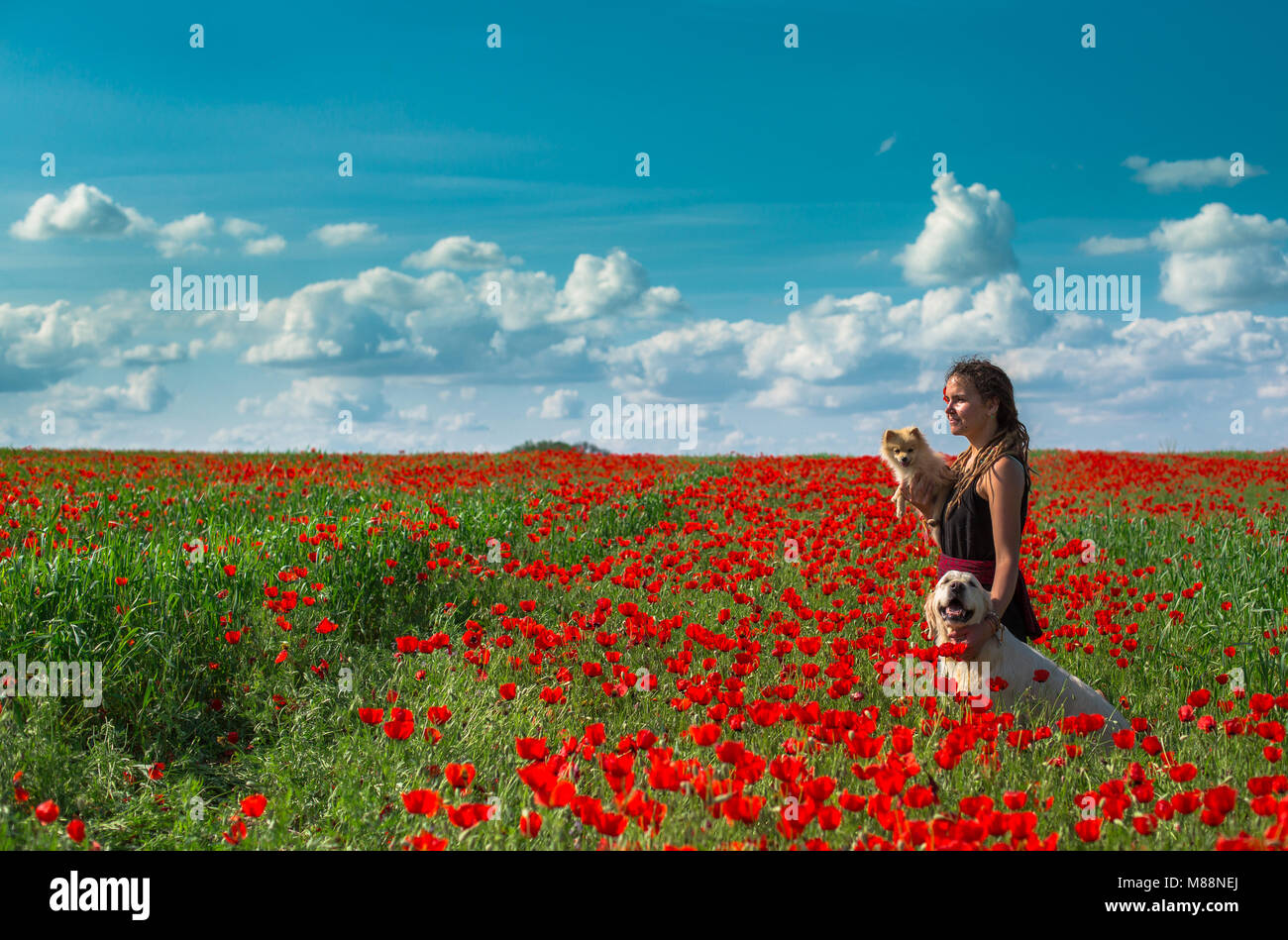 Girl with dreadlocks is walking with two lovely dogs in poppy field ...
