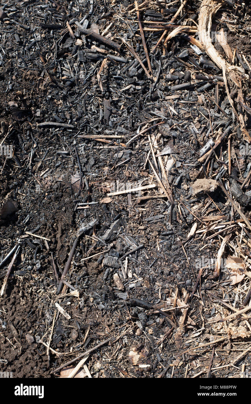 Burnt wood chips for soil of farming Stock Photo - Alamy