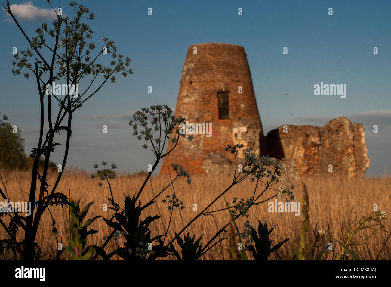 Windmill 14th century hi-res stock photography and images - Alamy