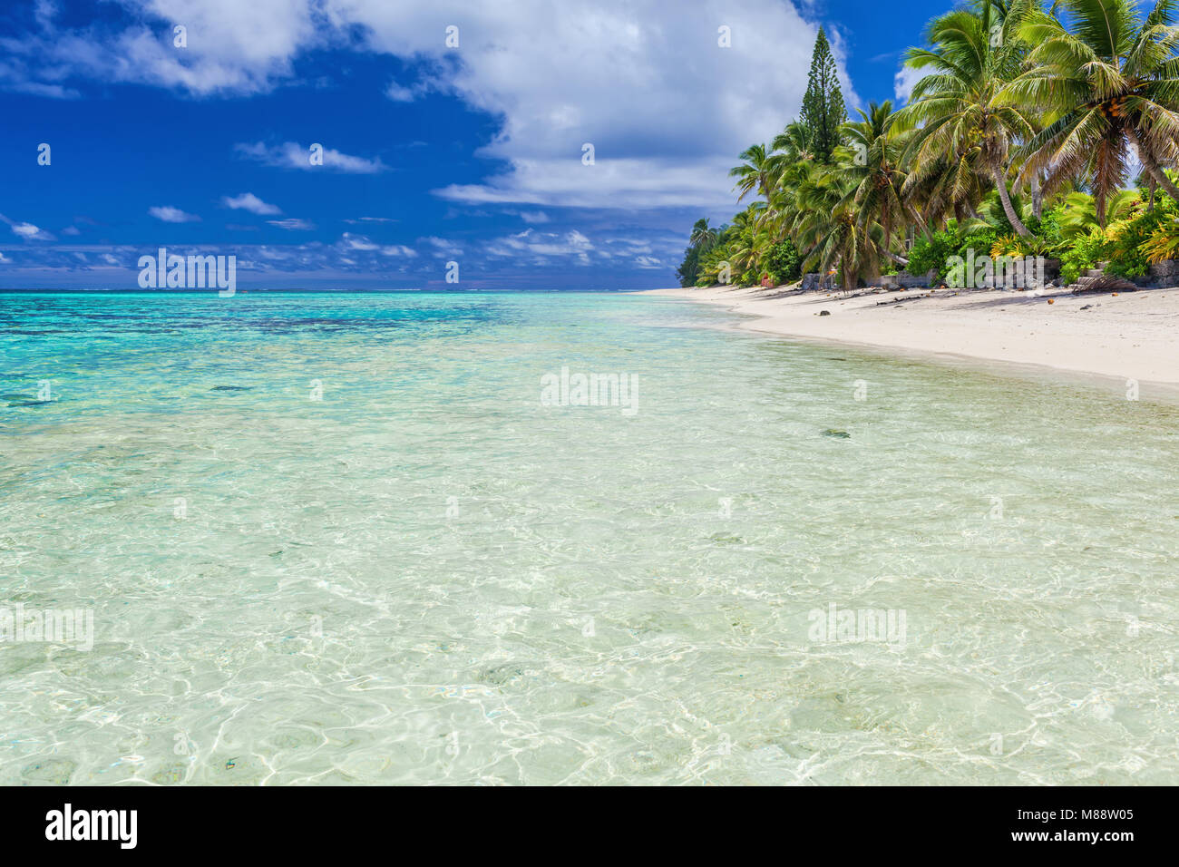 Tropical beach with rocks and palms on Cook Islands, Rarotonga Stock ...